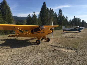 Listings – Taildraggers.com